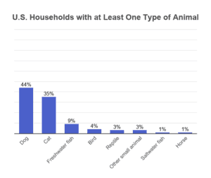 Pet Adoption Statistics [2021]: Rates of Dog & Cat Adoptions
