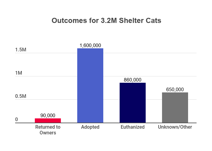 Animal Shelter Statistics [2020]: Facts & Data by Year