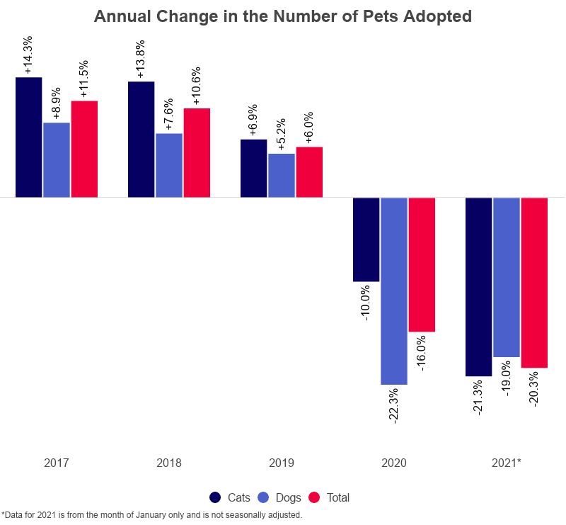 Pet Adoption Statistics [2022]: Rates of Dog & Cat Adoptions