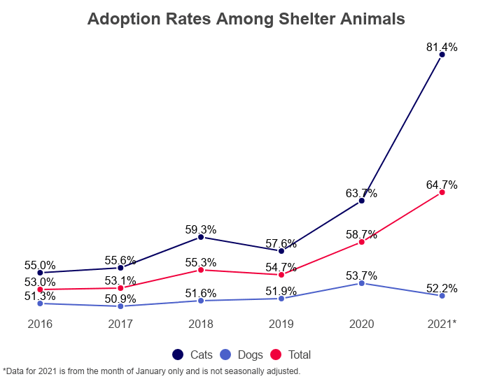How Many Puppies Are Adopted Each Year How Many Puppies Are Adopted Each Year